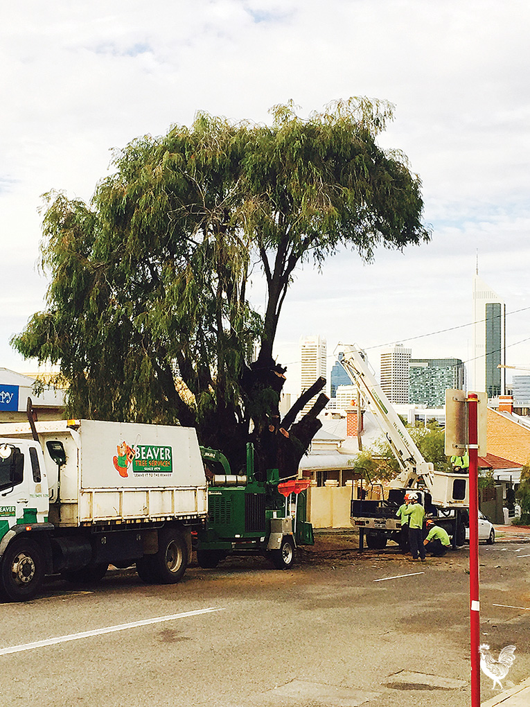 Six down – Perth Voice Interactive