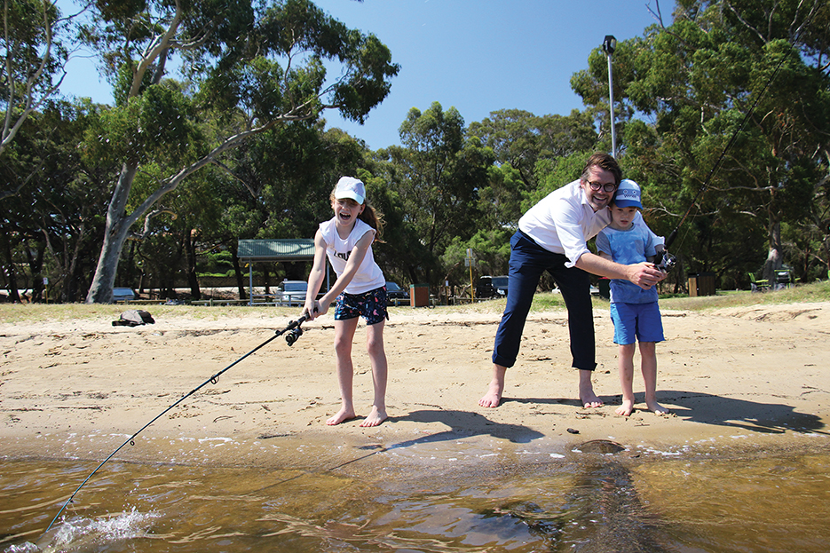 Bull back in Bayswater – Perth Voice Interactive