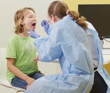 Primary school testing to track spread of virus – Perth Voice Interactive