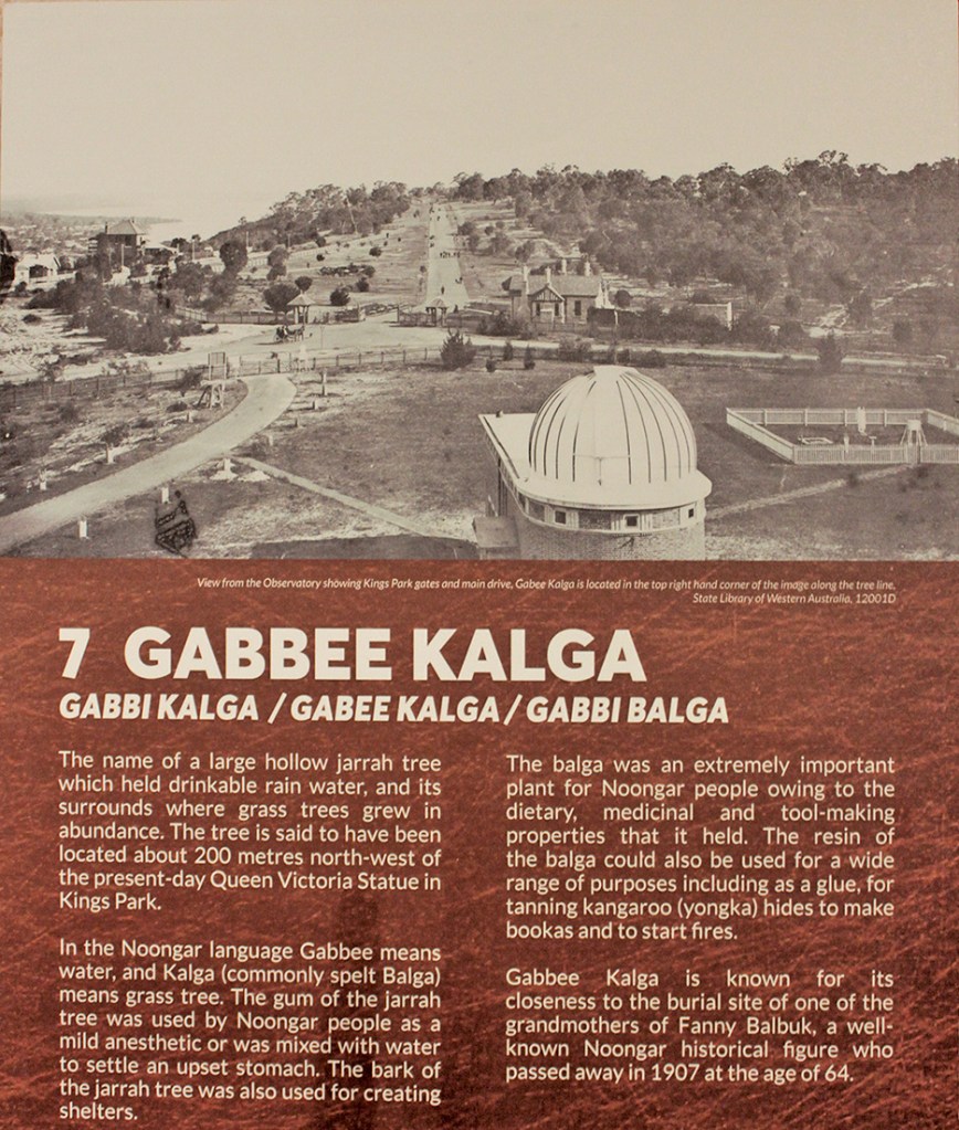 The names that mapped a land – Perth Voice Interactive