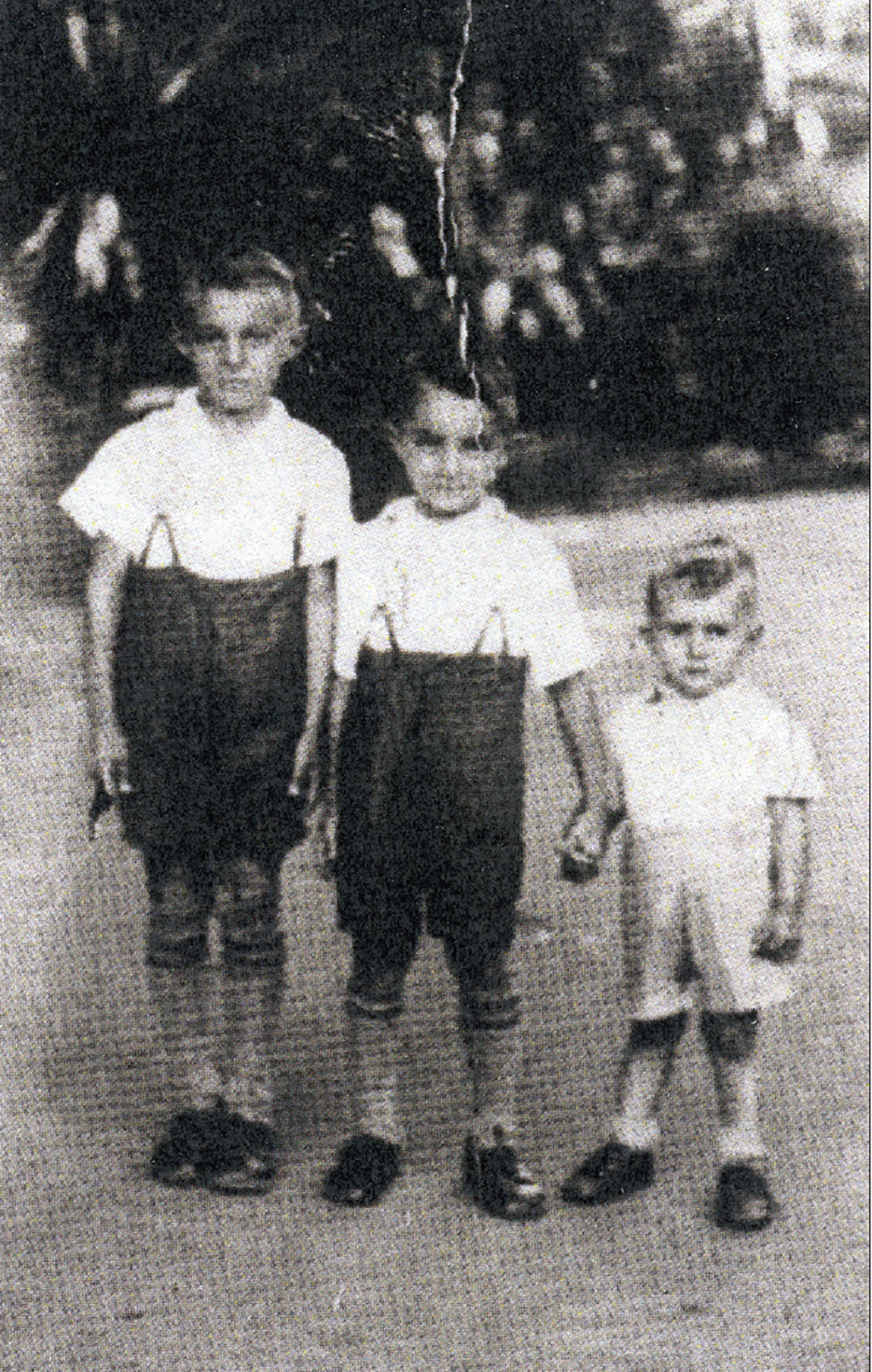 Three little boys… – Perth Voice Interactive