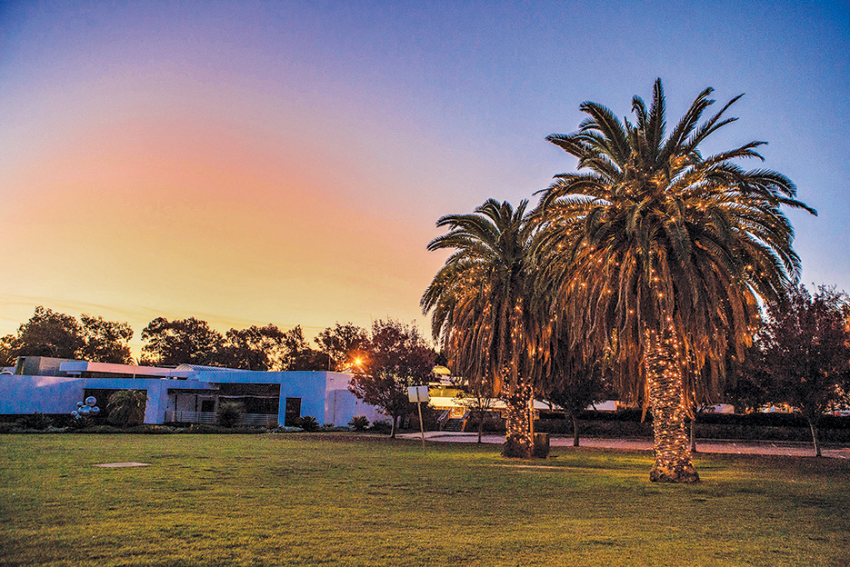 Palmed off – Perth Voice Interactive