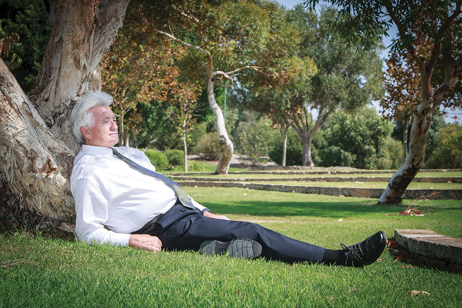 Greener pastures – Perth Voice Interactive