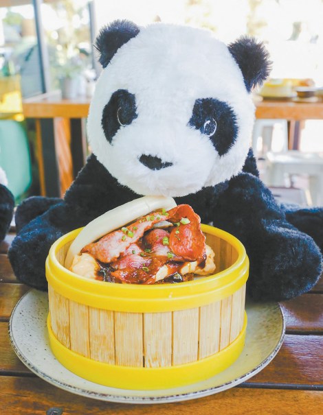 Fusion delight – Perth Voice Interactive