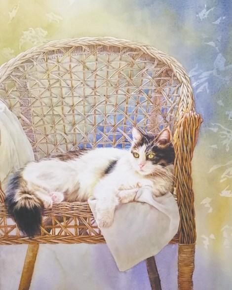 Upsetting the Balance – Perth Voice Interactive