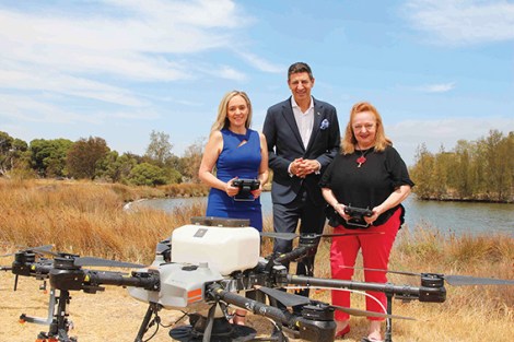 Mozzie service creates a buzz – Perth Voice Interactive