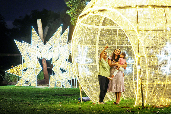 Christmas light trails – Perth Voice Interactive
